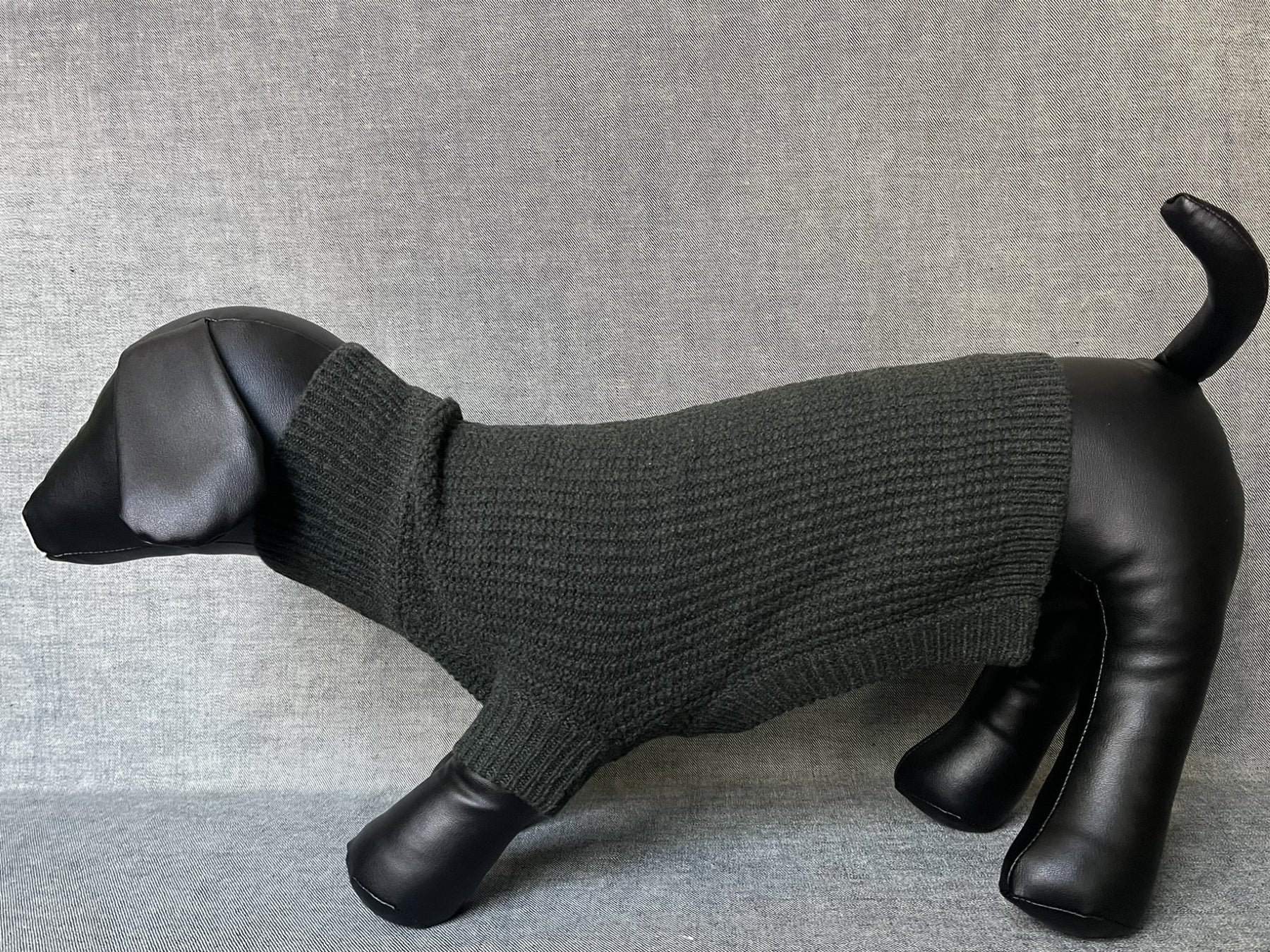 Paws – Revolution Now